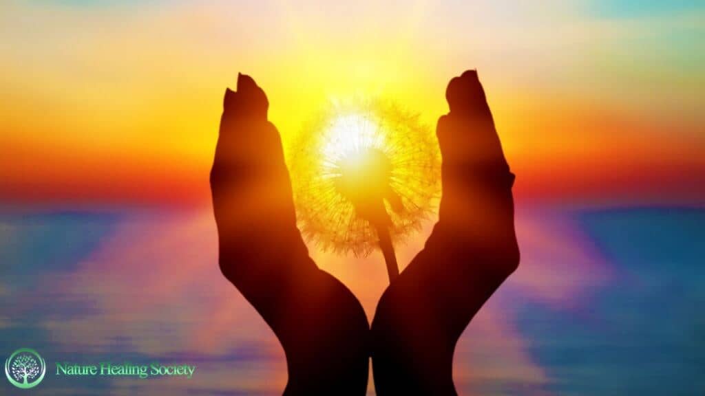 528hz Positive Energy Meditation Music Nature Healing Society